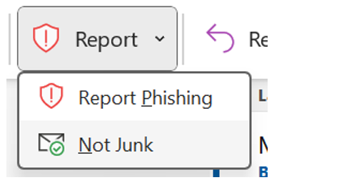 Using the 'Report' Button in Outlook – IT Solver Support